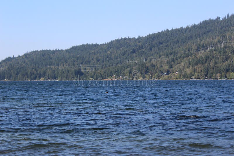 A Panoramic View of Lake Whatcom and Northshore Stock Photo - Image of ...