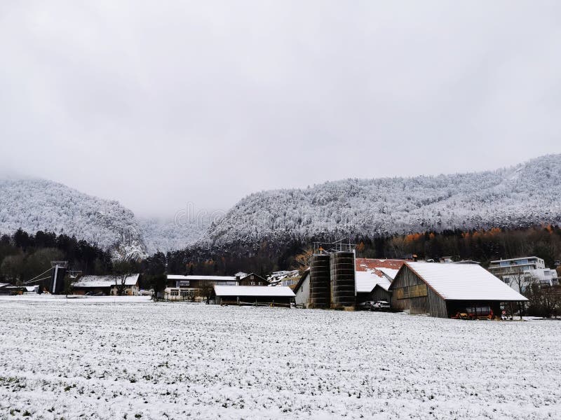 Panoramic View of Light Snowy Fields with Farm and Mountains in ...