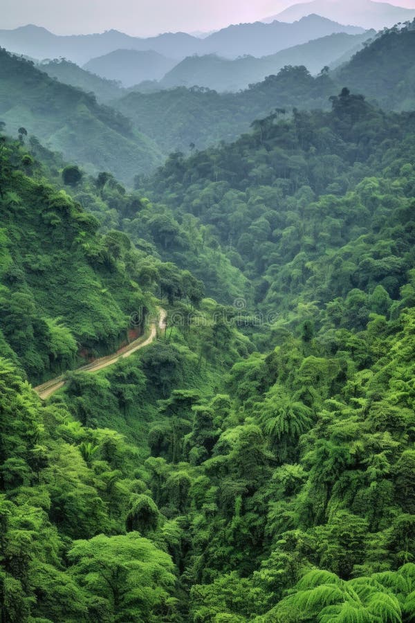 Panoramic View of a Lush Green Forest Valley Stock Illustration ...