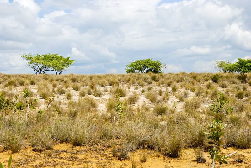 Panoramic View of Madagascar Stock Image - Image of madagascar ...