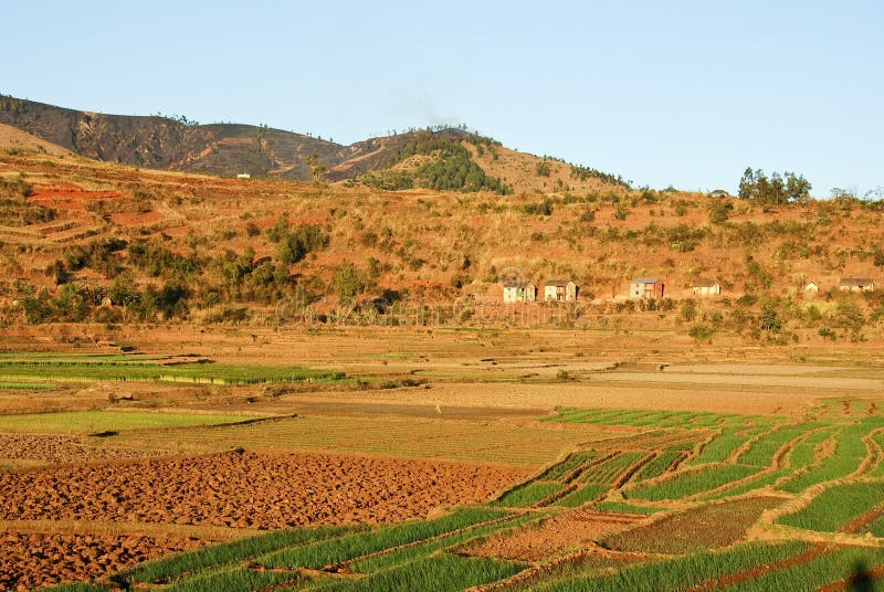 Panoramic View of Madagascar Stock Image - Image of madagascar, island ...