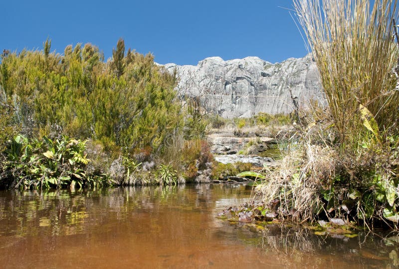 Panoramic View of Madagascar Editorial Image - Image of architecture ...