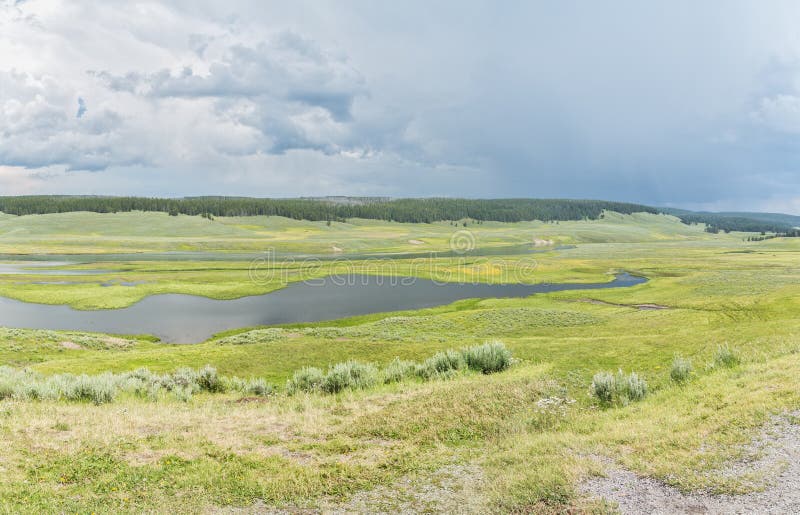 Panoramic View of Marshland Stock Image - Image of meadow, horizontal ...