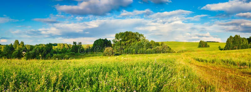 Rural landscape. Panorama stock image. Image of fantasy - 116925627