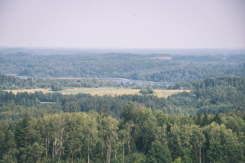 Panoramic View of Misty Forest. Far Horizon - Vintage Effect Stock ...