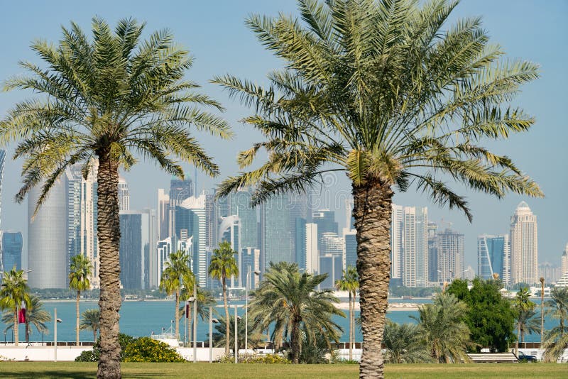 Panoramic View of Modern Skyline of Doha through Blurred Palm Trees ...