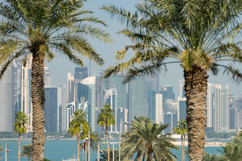 Panoramic View of Modern Skyline of Doha through Blurred Palm Trees ...