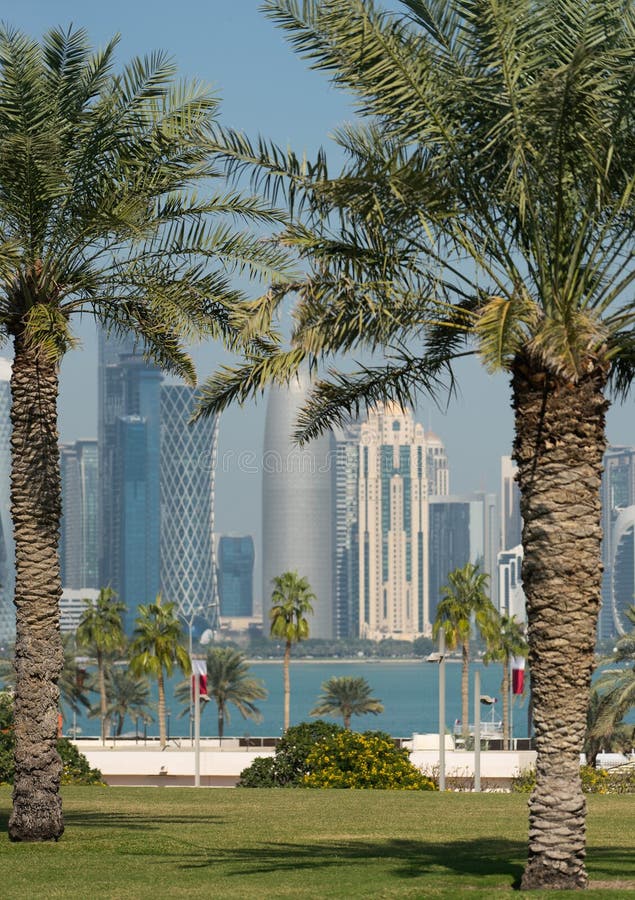 795 Doha Palm Tree Photos - Free & Royalty-Free Stock Photos from ...