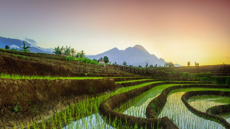 Panoramic View of the Morning View on the Terrace Stock Photo - Image ...