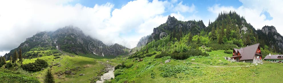 Panoramic View of Mount Bucegi on Summer Stock Photo - Image of meadow ...