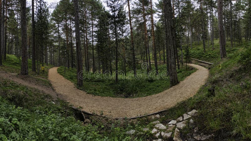 Panoramic View of Mountain Running Path Stock Image - Image of forest ...