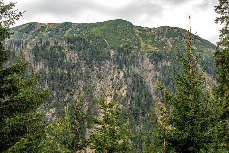 Panoramic View Mountain Scenery in the Czech Republic with Green Forest ...