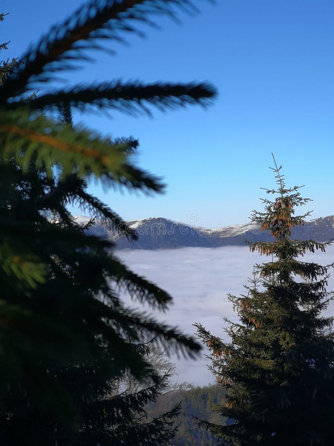 Clouds Move Over the Forest and the Surrounding Mountain Range in the ...