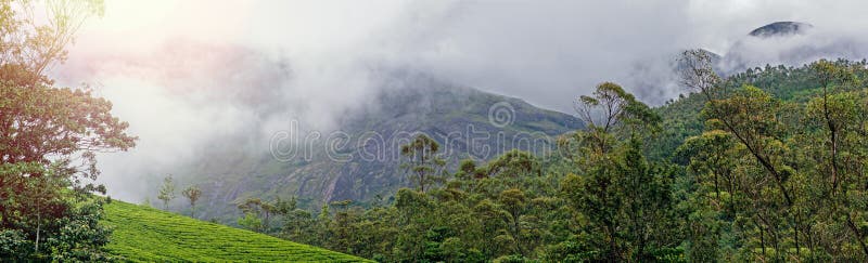 Panoramic View in Munnar in Western Ghats, Kerala Stock Photo - Image ...