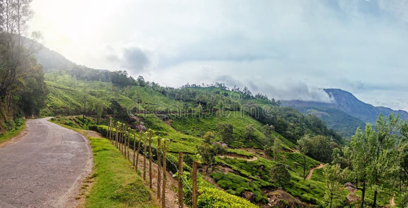 Panoramic View in Munnar in Western Ghats, Kerala Stock Image - Image ...