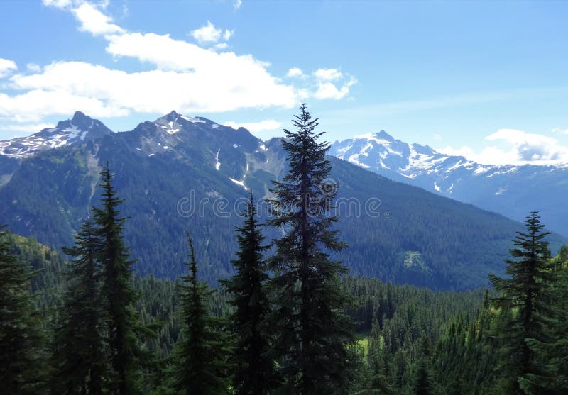 A Panoramic View of the North Cascade Mountains in Summer Stock Image ...