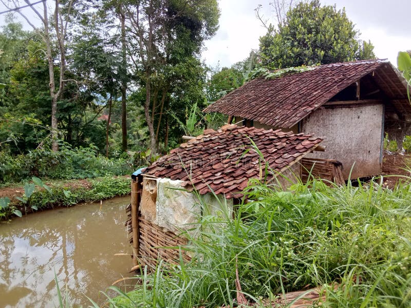 Panoramic View of Old Huts and Fish Pond in Village Stock Image - Image ...