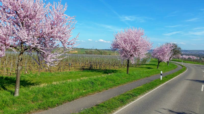Panoramic View from an Old Village in Germany Stock Photo - Image of ...