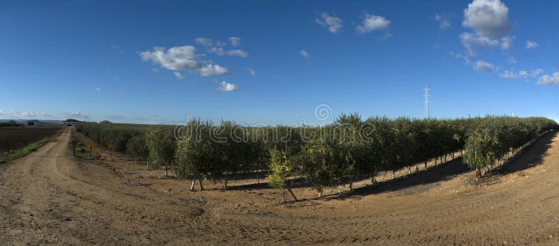 Badajoz Panoramic View at Sunset Stock Image - Image of bridges ...