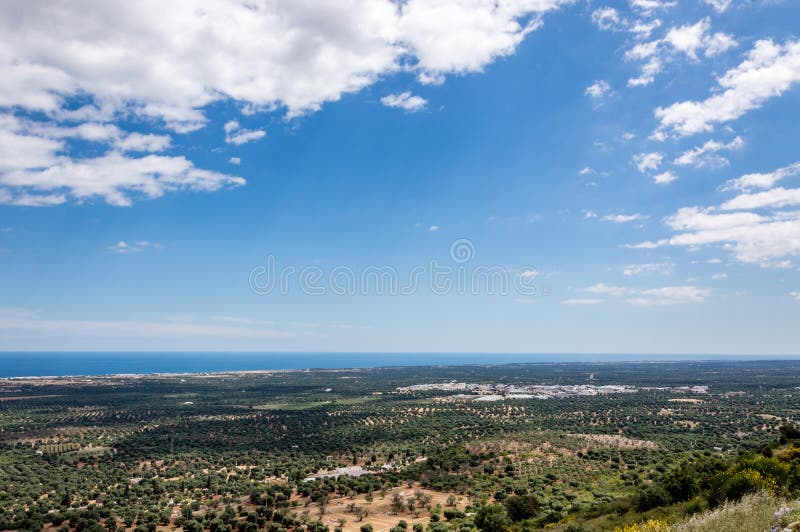 Panoramic View of Olive Trees Plain in Front of Ostuni Stock Image ...
