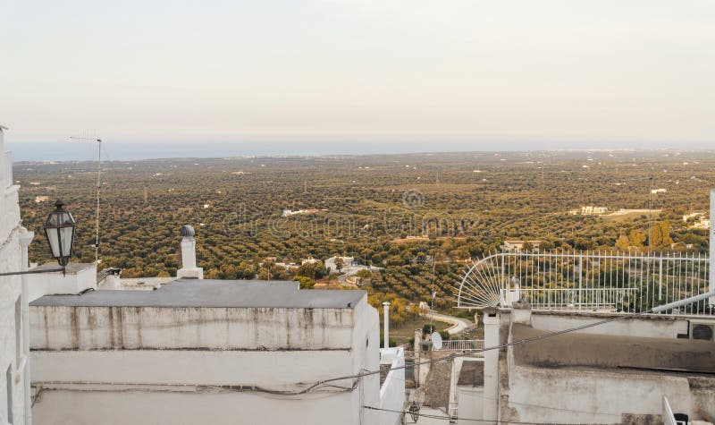 Panoramic View of Olive Trees Plain in Front of Ostuni at Sunset Stock ...