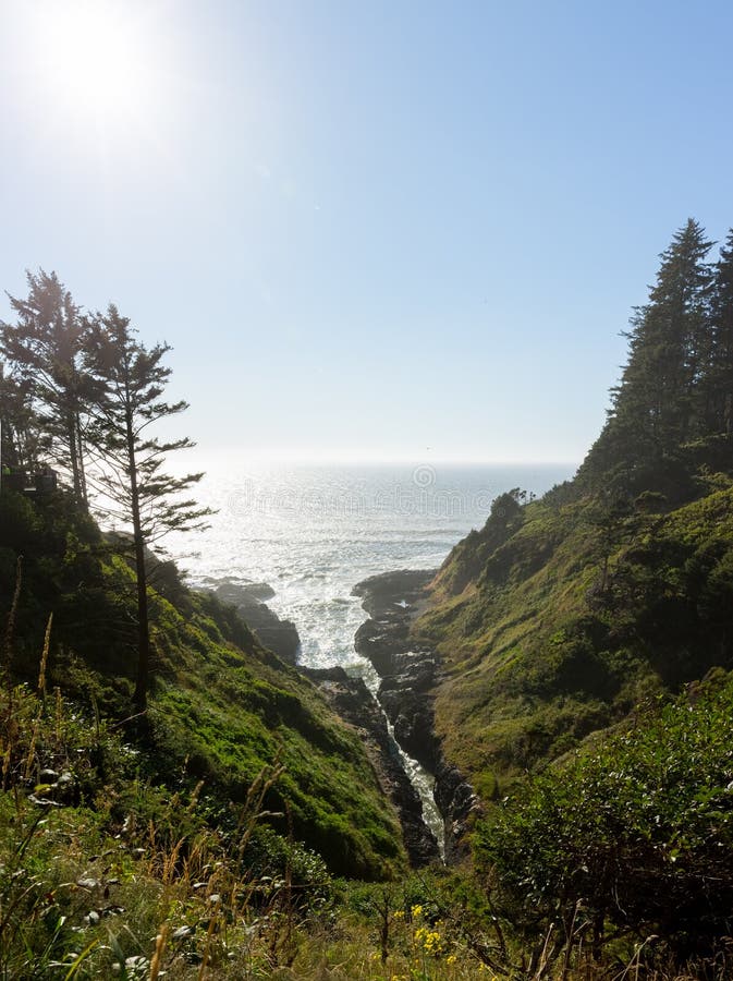 View of the Oregon Coast Line Stock Image - Image of green, ocean: 99592705