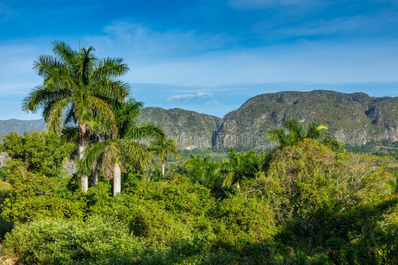 Panoramic View Over Landscape with Mogotes in Vinales Valley, Cuba ...