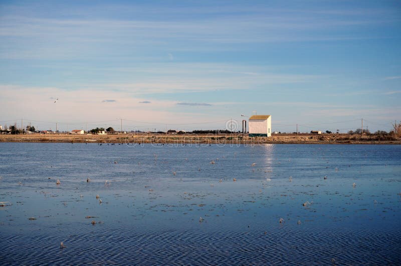 Deltebre rice harvest stock photo. Image of crop, spain - 100800598