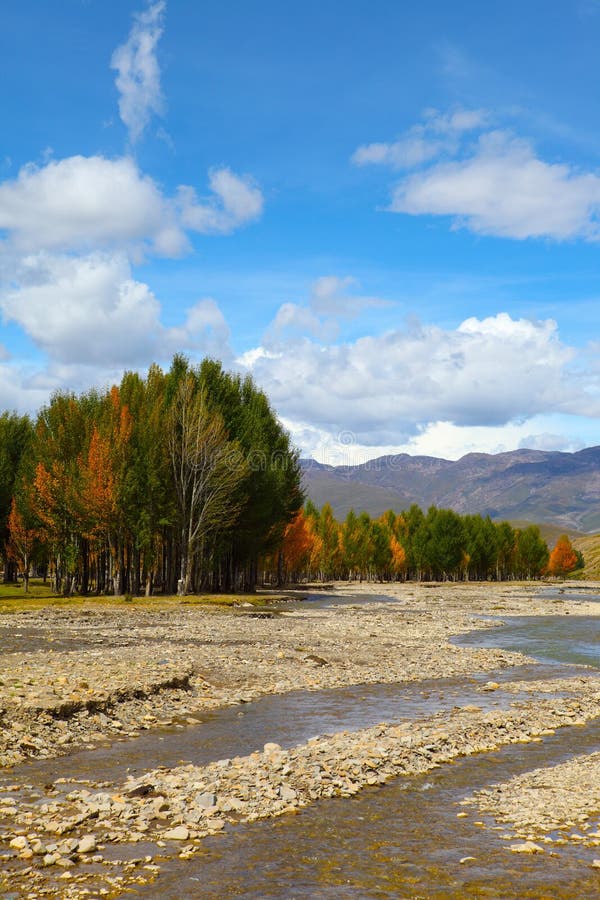 Autumn Forest and Mountains Stock Photo - Image of mountainous, country ...