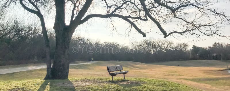 Panoramic View Park in Wintertime with Bare Tree and Bench Stock Image ...
