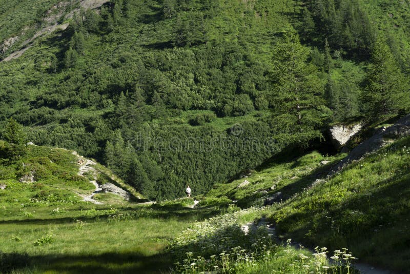 Relaxing on the Mountain in Switzerland in Converse Stock Image - Image ...