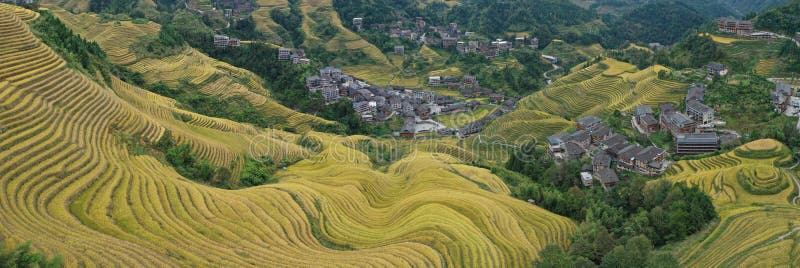 Panoramic View of Rice Fields in Longji, China Stock Image - Image of ...