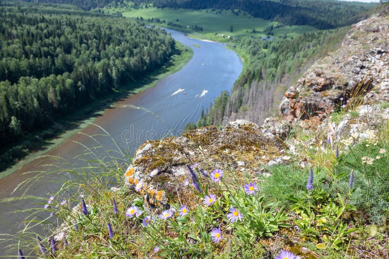 Panoramic View of the River, Forest and Rocks Stock Photo - Image of ...