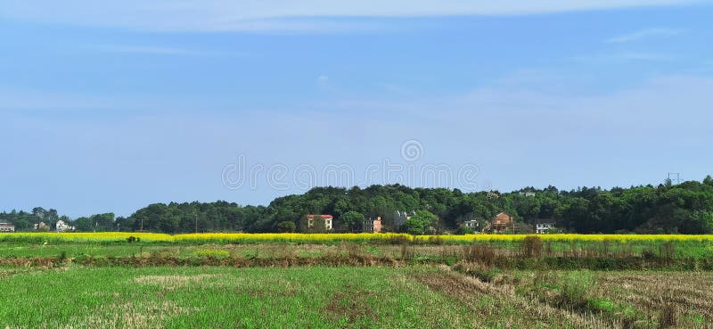 Panoramic View of Rural and Architectural Scenery of Riverside Plain in ...