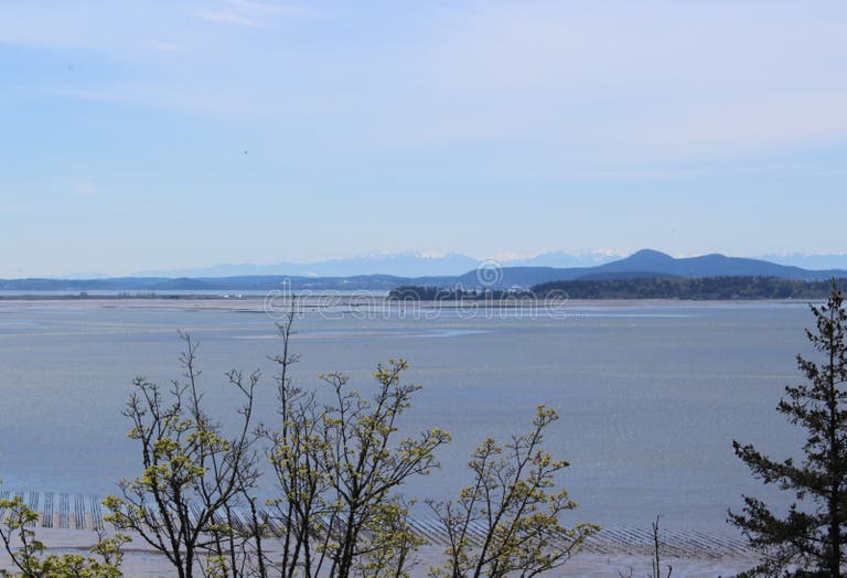 Panoramic View of Samish Bay, Washington Stock Photo - Image of natural ...