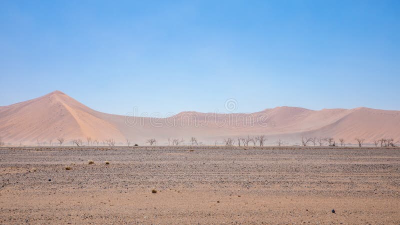 Sandstorm in Sossusvlei in the Namib Desert Stock Photo - Image of sand ...