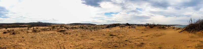 Panoramic View of Sandy Field Stock Photo - Image of light, background ...