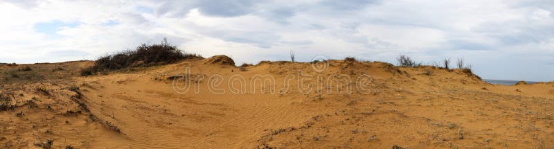 Panoramic View of Sandy Field Stock Photo - Image of light, background ...