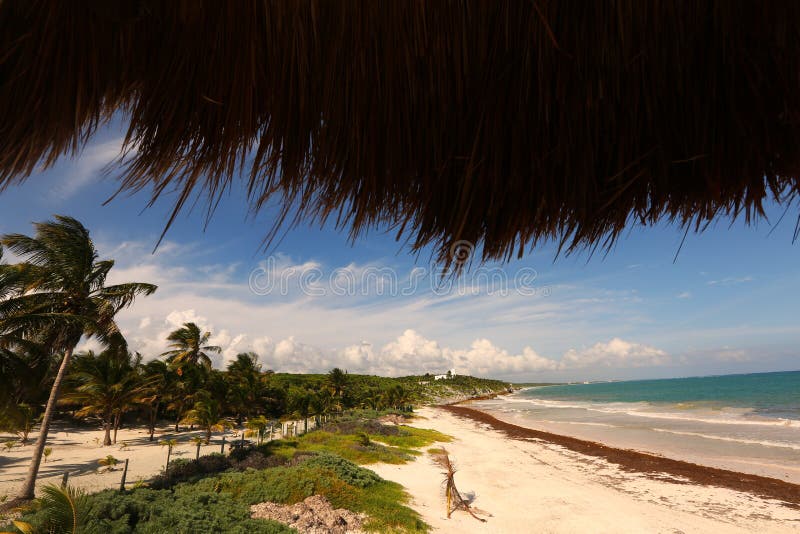 Panoramic View of the Sea and Beach Stock Photo - Image of idyllic ...