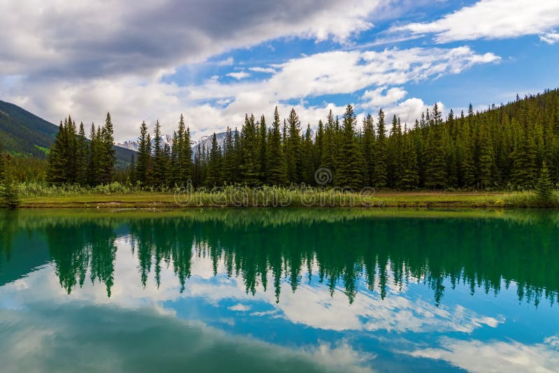 Panoramic Reflection of Trees on a Banff Lake Stock Image - Image of ...