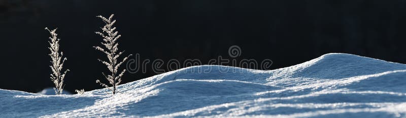 Panoramic View Of Snow Accumulations Stock Photo - Image of winter ...