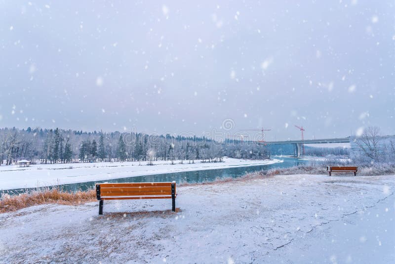 Snow Falling Down Over a Winter Park Stock Image - Image of lookout ...