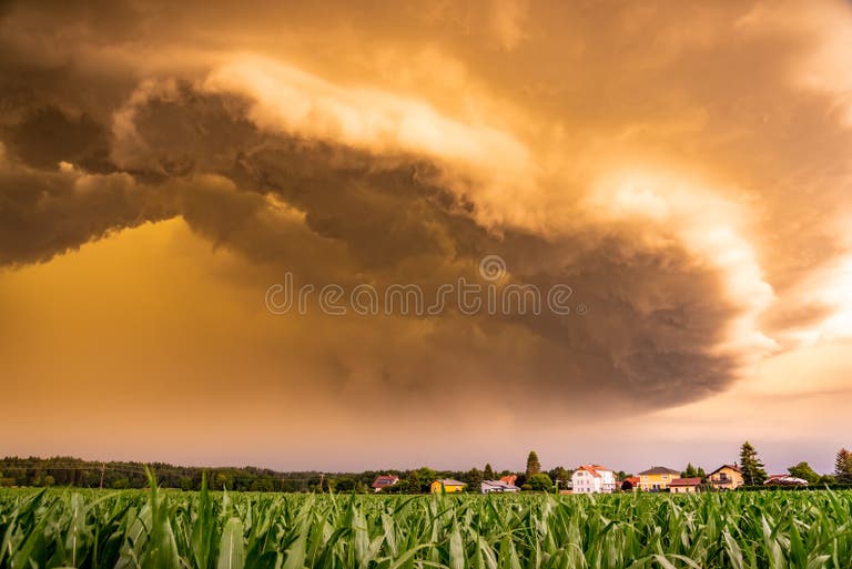 360 Corn Field Stock Photos - Free & Royalty-Free Stock Photos from ...