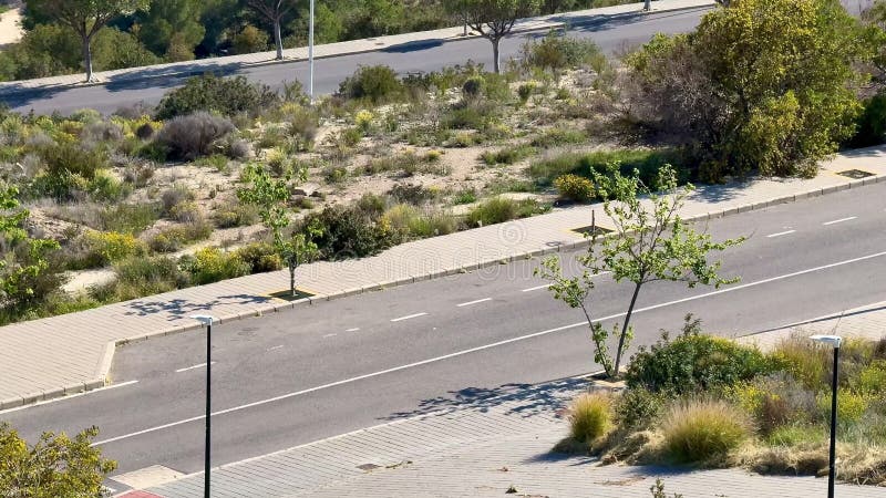 A Panoramic View of an Urban Road that is Surrounded by Lush Vegetation ...
