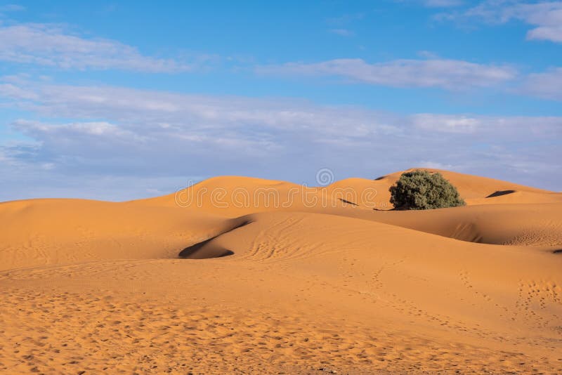 A Panoramic View of the Vast Sahara Desert, with Rolling Sand Dunes ...