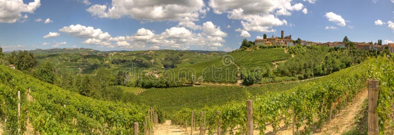 Panoramic View on Vineyards and Hills in Italy. Stock Photo - Image of ...