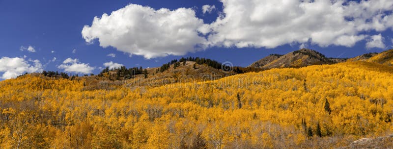 Wasatch Mountain State Park Stock Image - Image of located, park: 84454721