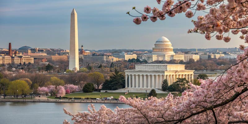 Washington DC Panorama stock illustration. Illustration of spring ...