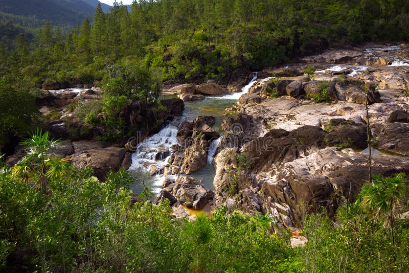 Panoramic View of Waterfalls in Mountain Pine Ridge Forest Reserve ...