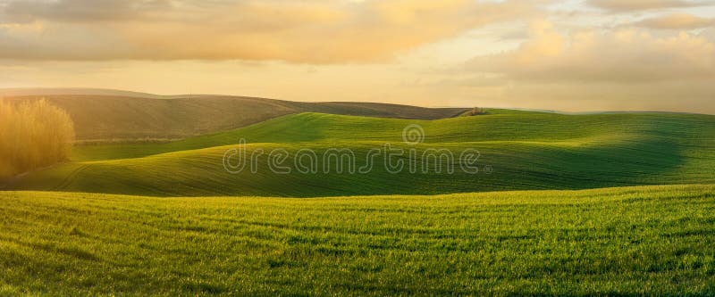 Wavy Fields Lines Winter Crops Spring Evening Sky Stock Photos - Free ...